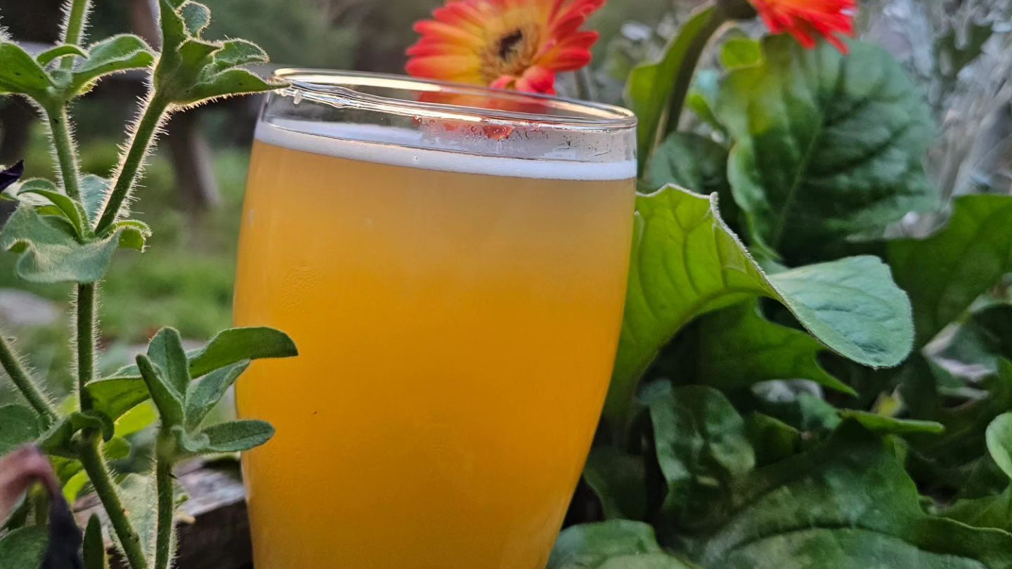 Forged Brewing Co. | Brew Central